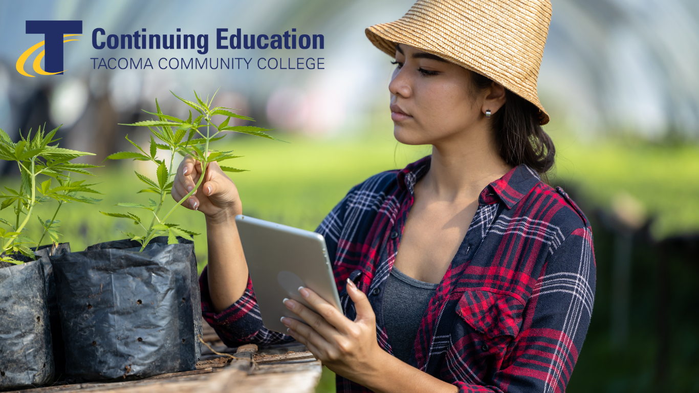 Home - Tacoma Community College - Cannabis Studies - Tacoma Community ...